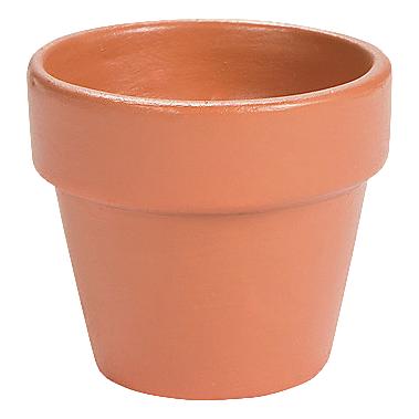 Mini Terra Cotta Pots (12 Pack) – EconoCrafts